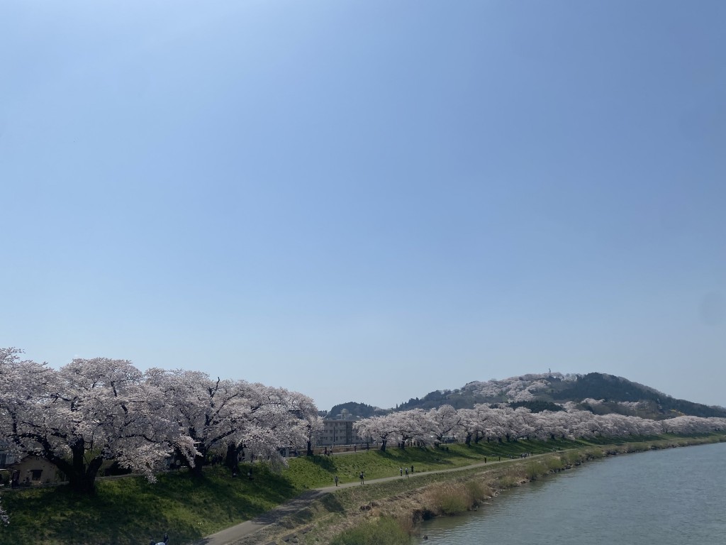 ブルー推し💙おすすめset up🌸NOA | ENVYM